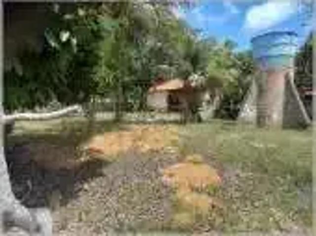 Sítio / Chácara para Venda em Nísia Floresta/RN Bonfim 3 Quartos