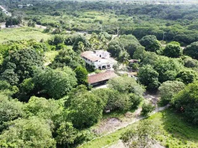 Sítio / Chácara para Venda em Nísia Floresta/RN Centro 6 Quartos