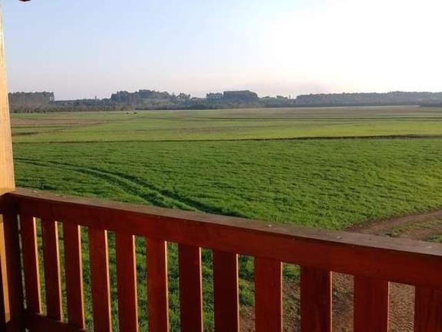 Sítio / Chácara para Venda em São Mateus do Sul/PR Zona Rural 3 Quartos