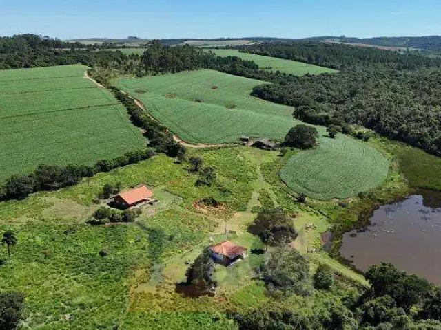 Sítio / Chácara para Venda em São Miguel Arcanjo/SP Centro