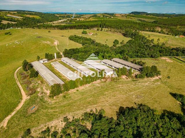 Sítio / Chácara para Venda em São Miguel Arcanjo/SP Santa Cruz dos Matos