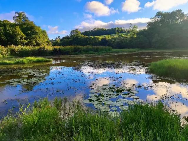 Sítio / Chácara para Venda em São Miguel Arcanjo/SP Zona Rural 1 Quartos