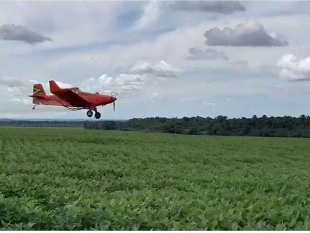 Sítio / Chácara para Venda em São Miguel do Araguaia/GO Zona Rural 1 Quartos