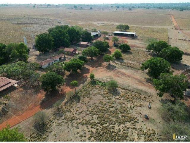 Sítio / Chácara para Venda em São Miguel do Araguaia/GO Zona Rural