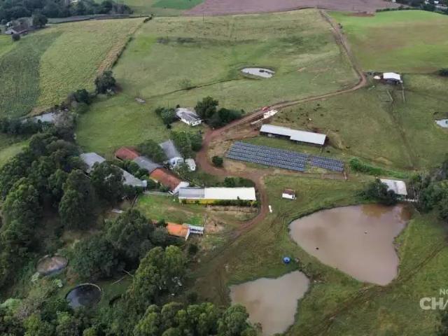 Sítio / Chácara para Venda em São Miguel do Oeste/SC Área Rural de São Miguel do Oeste 2 Quartos