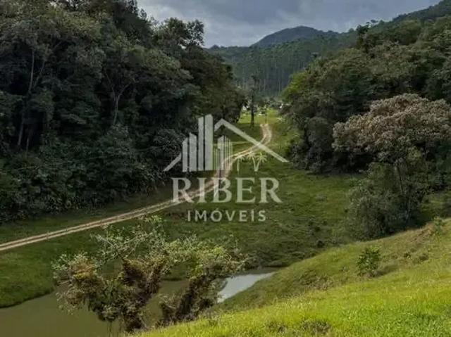 Sítio / Chácara para Venda em São Bento do Sul/SC Área Rural de São Bento do Sul 4 Quartos