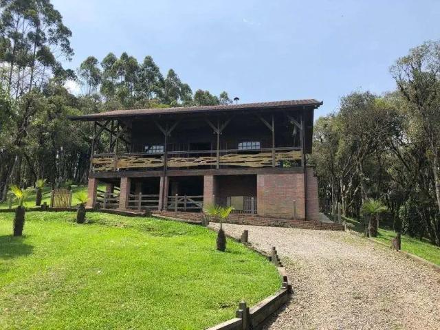 Sítio / Chácara para Venda em São Bento do Sul/SC Serra Alta 2 Quartos