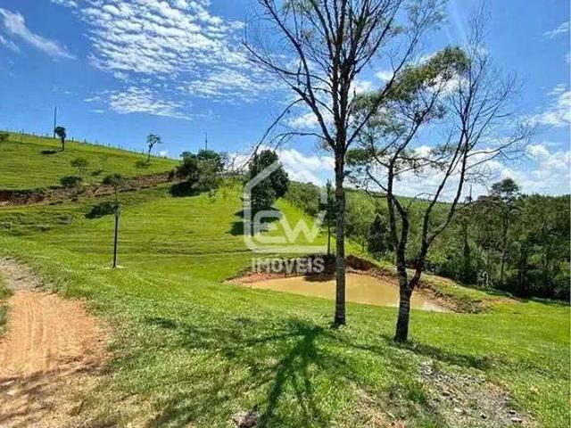 Sítio / Chácara para Venda em São Bento do Sul/SC Serra Alta 2 Quartos