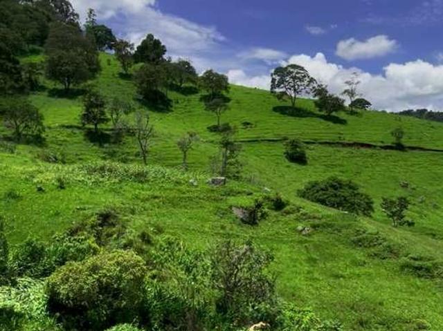 Sítio / Chácara para Venda em São Bento do Sapucaí/SP Paiol Velho