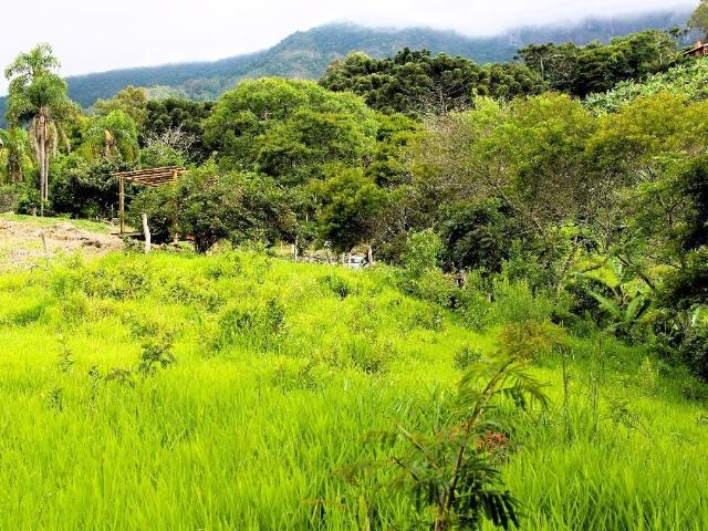 Sítio / Chácara para Venda em São Bento do Sapucaí/SP Paiol Grande