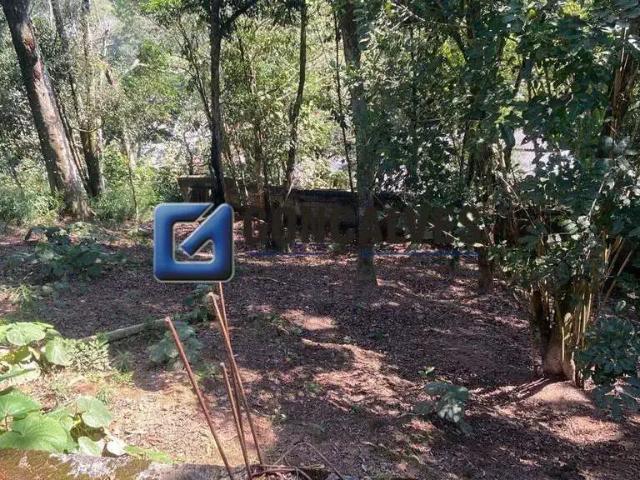Sítio / Chácara para Venda em São Bernardo do Campo/SP Dos Finco 2 Quartos