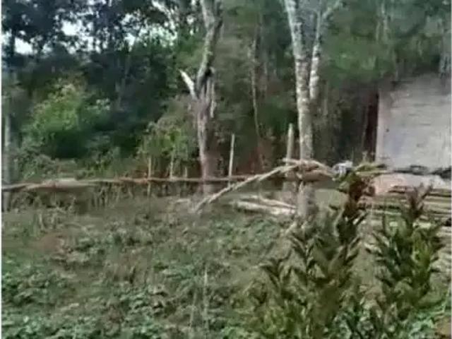 Sítio / Chácara para Venda em São Bernardo do Campo/SP Tatetos