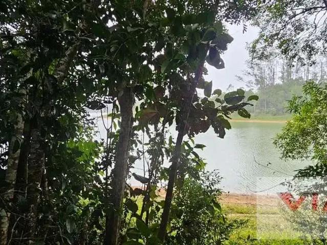 Sítio / Chácara para Venda em São Bernardo do Campo/SP Taquacetuba