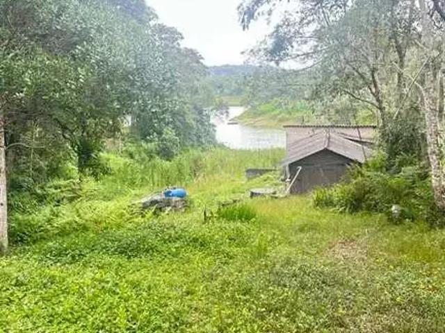 Sítio / Chácara para Venda em São Bernardo do Campo/SP Taquacetuba
