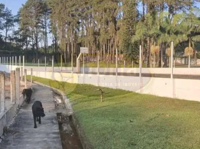 Sítio / Chácara para Venda em São Bernardo do Campo/SP Zanzala 5 Quartos
