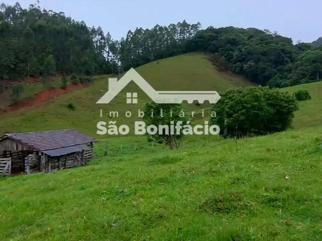 Sítio / Chácara para Venda em São Bonifácio/SC Centro