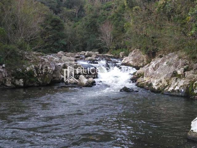 Sítio / Chácara para Venda em São Bonifácio/SC Centro