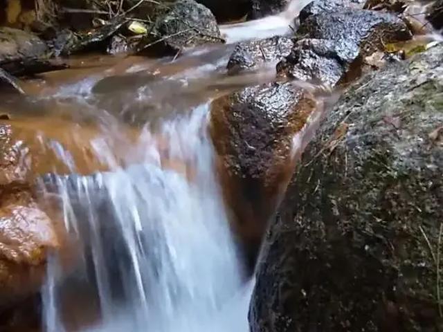Sítio / Chácara para Venda em São Bonifácio/SC Centro 2 Quartos