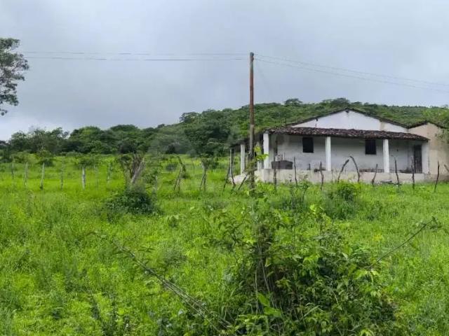 Sítio / Chácara para Venda em São Caitano/PE Centro 2 Quartos