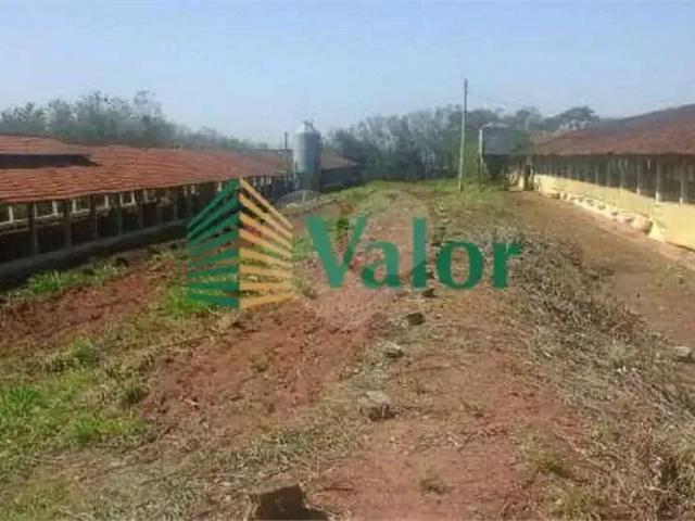 Sítio / Chácara para Venda em São Carlos/SP Monjolinho 3 Quartos