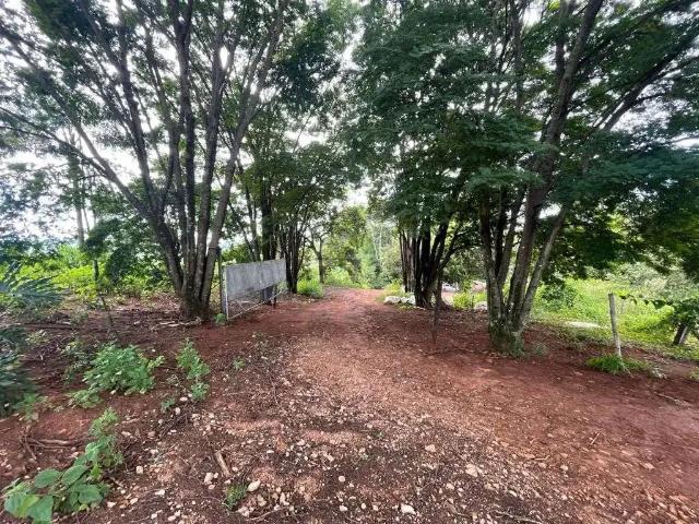 Sítio / Chácara para Venda em São Carlos/SP Monjolinho