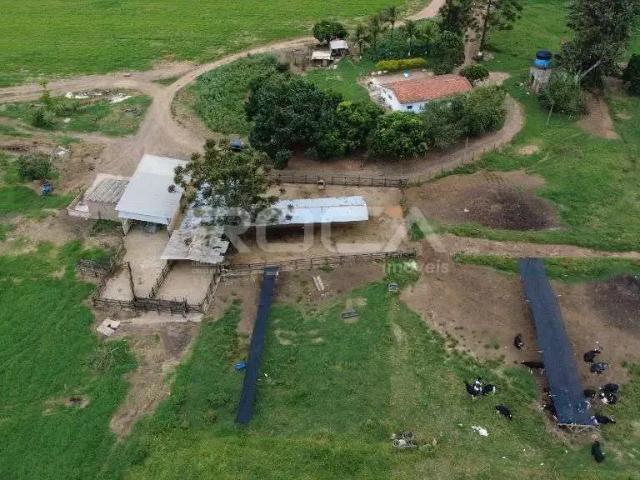 Sítio / Chácara para Venda em São Carlos/SP Área Rural de São Carlos 2 Quartos