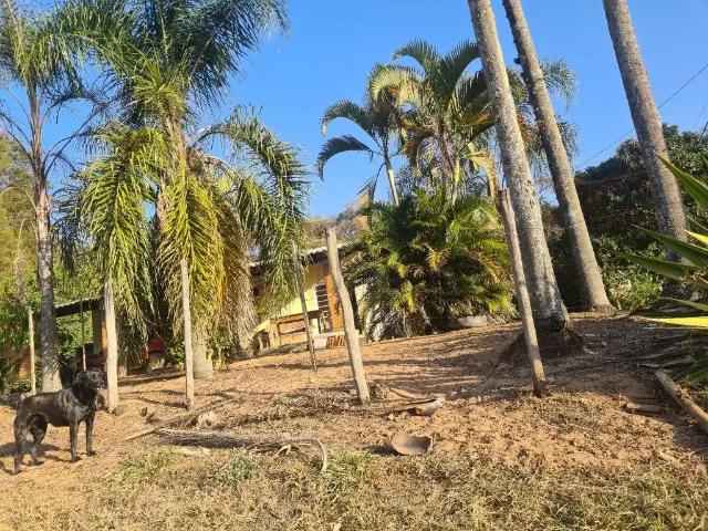 Sítio / Chácara para Venda em São Carlos/SP Área Rural de São Carlos