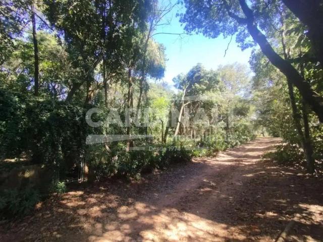 Sítio / Chácara para Venda em São Carlos/SP Encontro Valparaíso I
