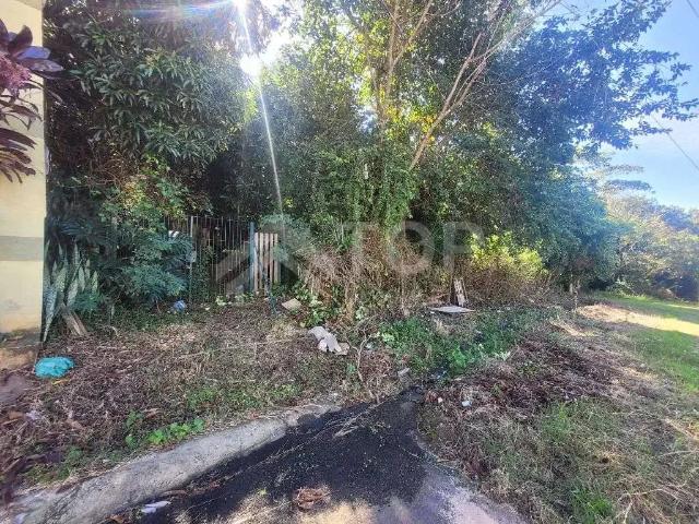 Sítio / Chácara para Venda em São Carlos/SP Jardim Brasil