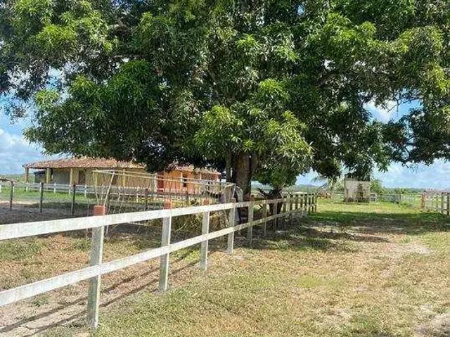 Sítio / Chácara para Venda em São Cristóvão/SE Centro 2 Quartos
