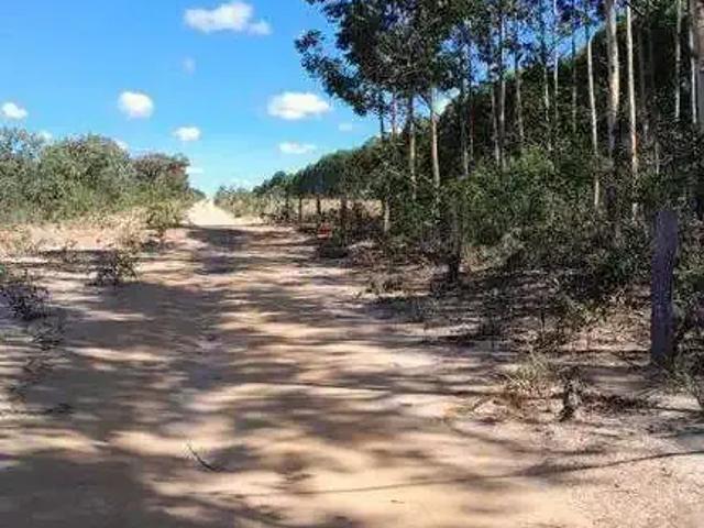 Sítio / Chácara para Venda em São Desidério/BA Zona Rural