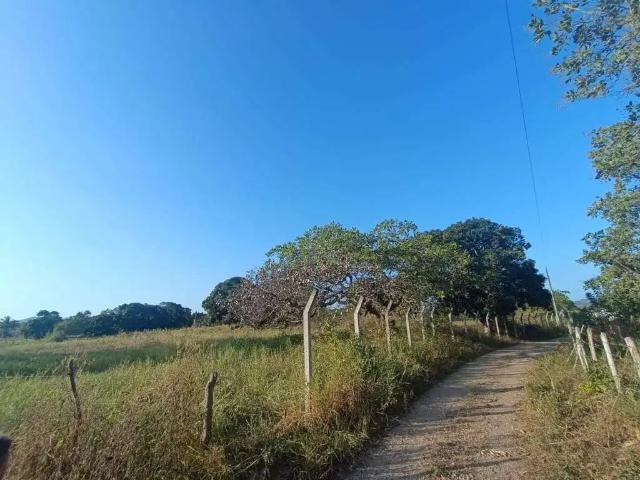 Sítio / Chácara para Venda em São Domingos/SE Centro