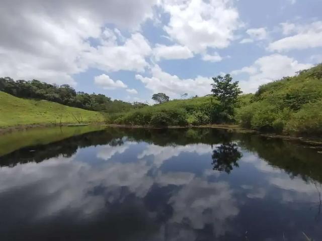 Sítio / Chácara para Venda em São Domingos/SE Zona Rural 5 Quartos