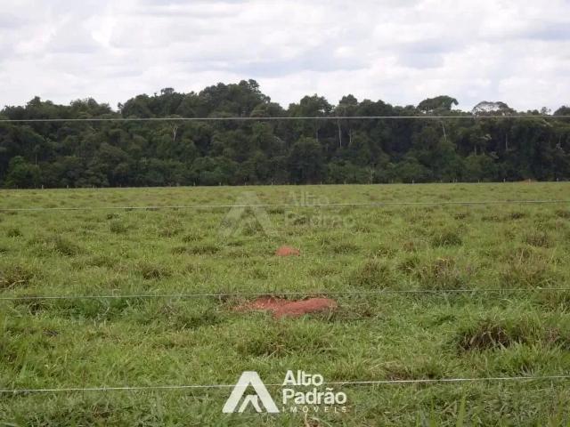 Sítio / Chácara para Venda em São Félix do Araguaia/MT Centro