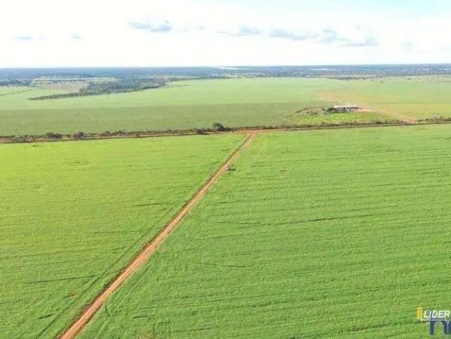 Sítio / Chácara para Venda em São Félix do Araguaia/MT Zona Rural