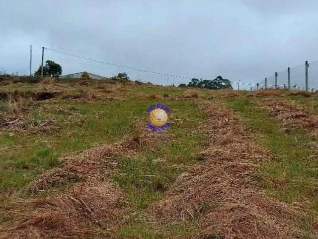 Sítio / Chácara para Venda em São Francisco de Paula/RS Apanhador