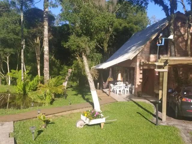 Sítio / Chácara para Venda em São Francisco de Paula/RS Apanhador 3 Quartos