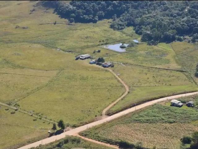 Sítio / Chácara para Venda em São Francisco de Paula/RS Centro
