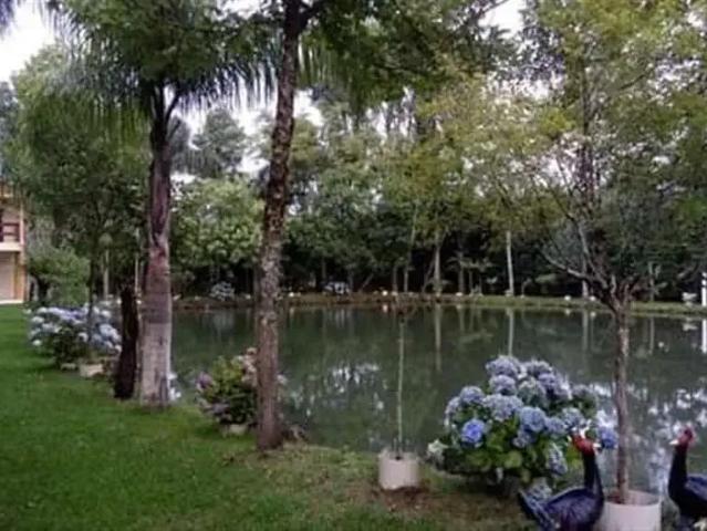 Sítio / Chácara para Venda em São Francisco de Paula/RS Juá 3 Quartos