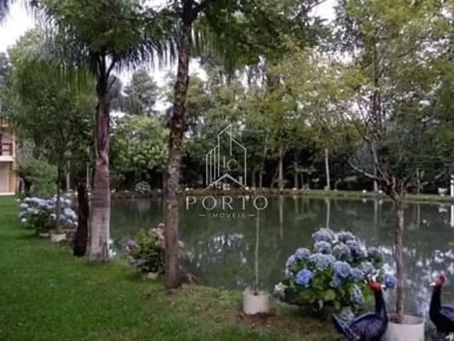 Sítio / Chácara para Venda em São Francisco de Paula/RS Juá 3 Quartos