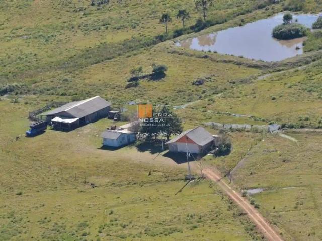 Sítio / Chácara para Venda em São Francisco de Paula/RS Lajeado Grande