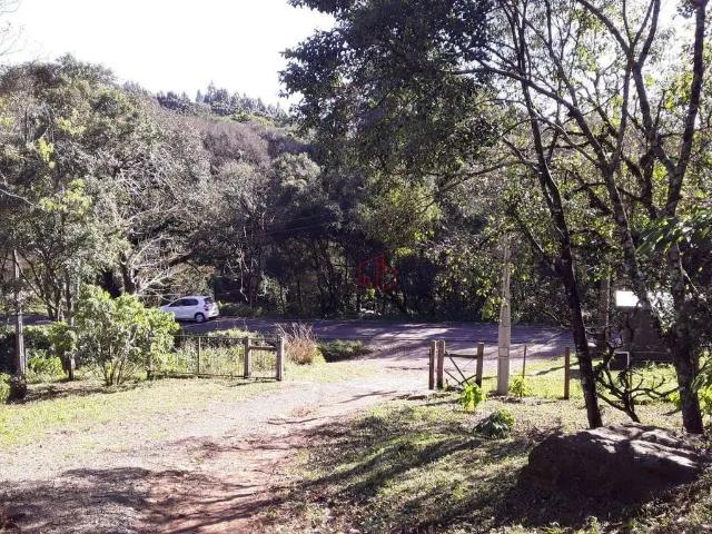 Sítio / Chácara para Venda em São Francisco de Paula/RS Recosta 4 Quartos