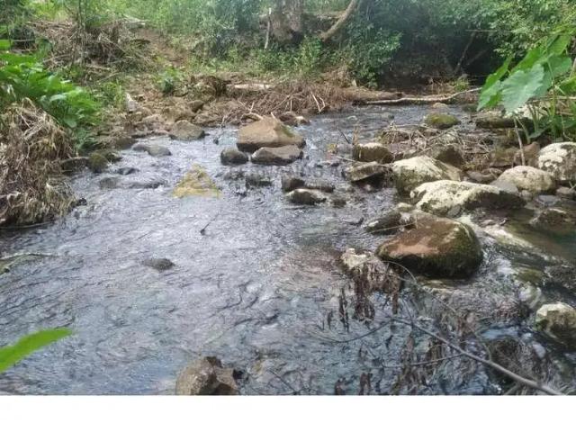Sítio / Chácara para Venda em São Francisco de Paula/RS Zona Rural