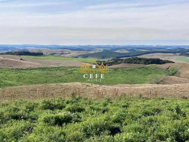 Sítio / Chácara para Venda em São Francisco de Paula/RS Zona Rural