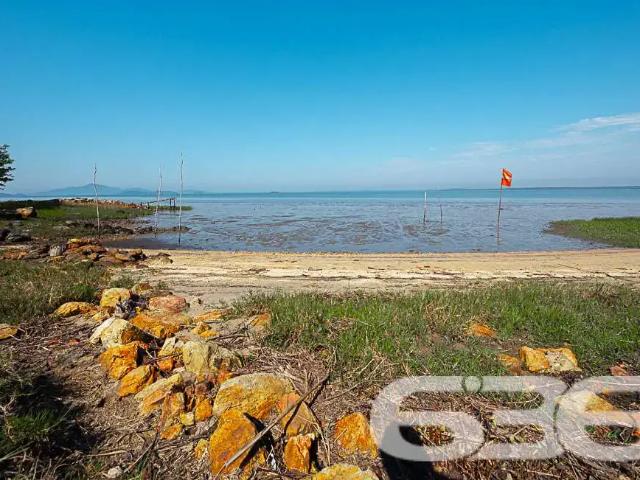 Sítio / Chácara para Venda em São Francisco do Sul/SC Frias 2 Quartos