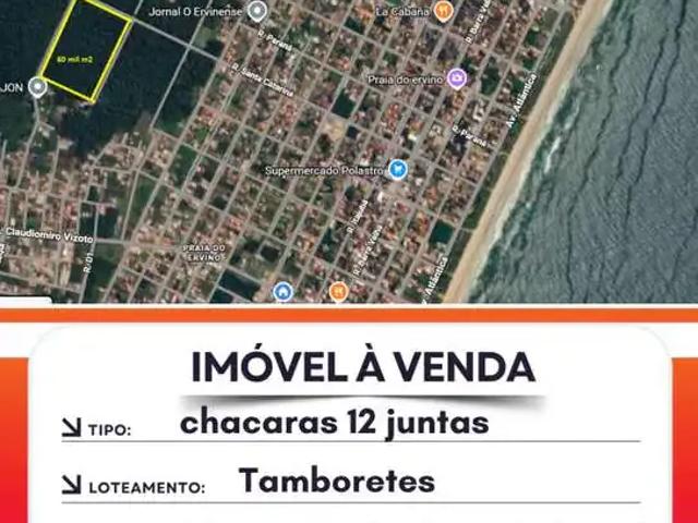 Sítio / Chácara para Venda em São Francisco do Sul/SC Praia do Ervino