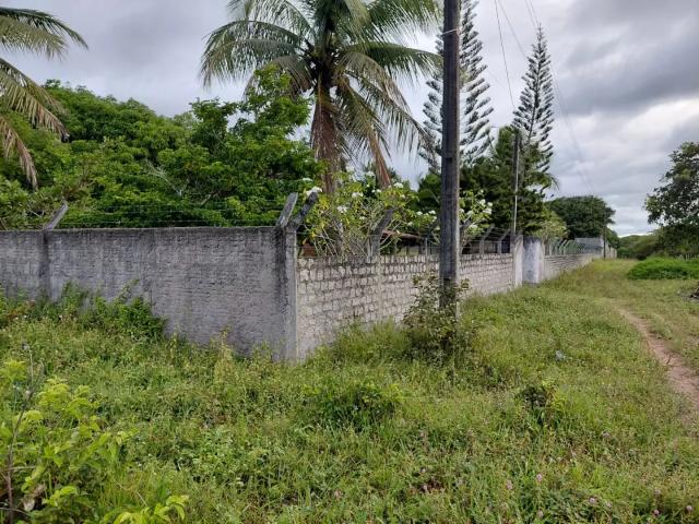 Sítio / Chácara para Venda em São Gonçalo do Amarante/RN Maçaranduba 2 Quartos
