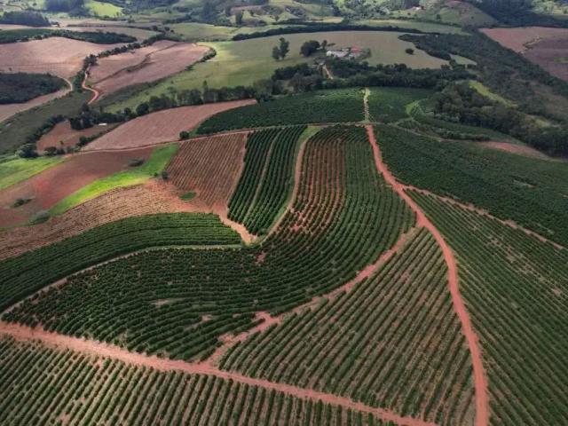 Sítio / Chácara para Venda em São Gonçalo do Sapucaí/MG Zona Rural