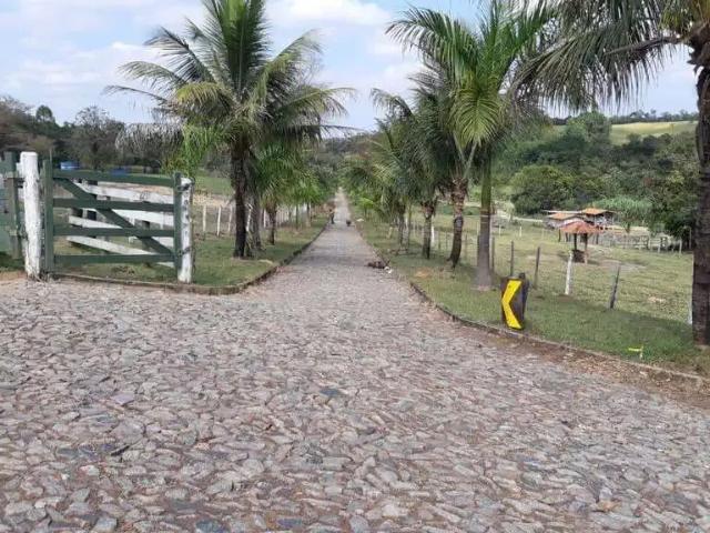 Sítio / Chácara para Venda em São Gonçalo do Pará/MG Moro Agudo 5 Quartos