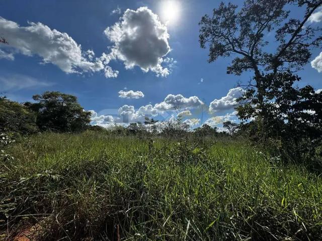 Sítio / Chácara para Venda em São Gonçalo do Pará/MG Zona Rural